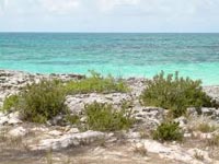 Why Does The Bahamas Remain Outside UNESCO? – Bahamas News