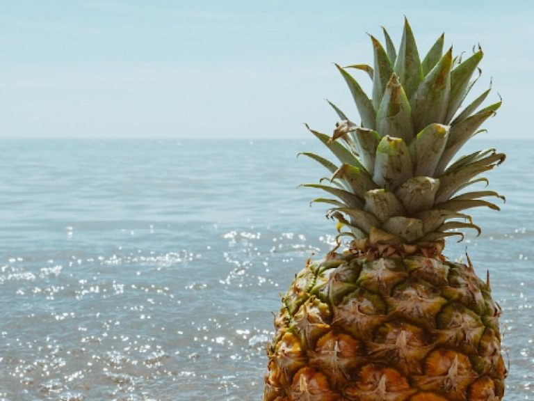 Summer Fruits of The Bahamas | Bahamas B2B